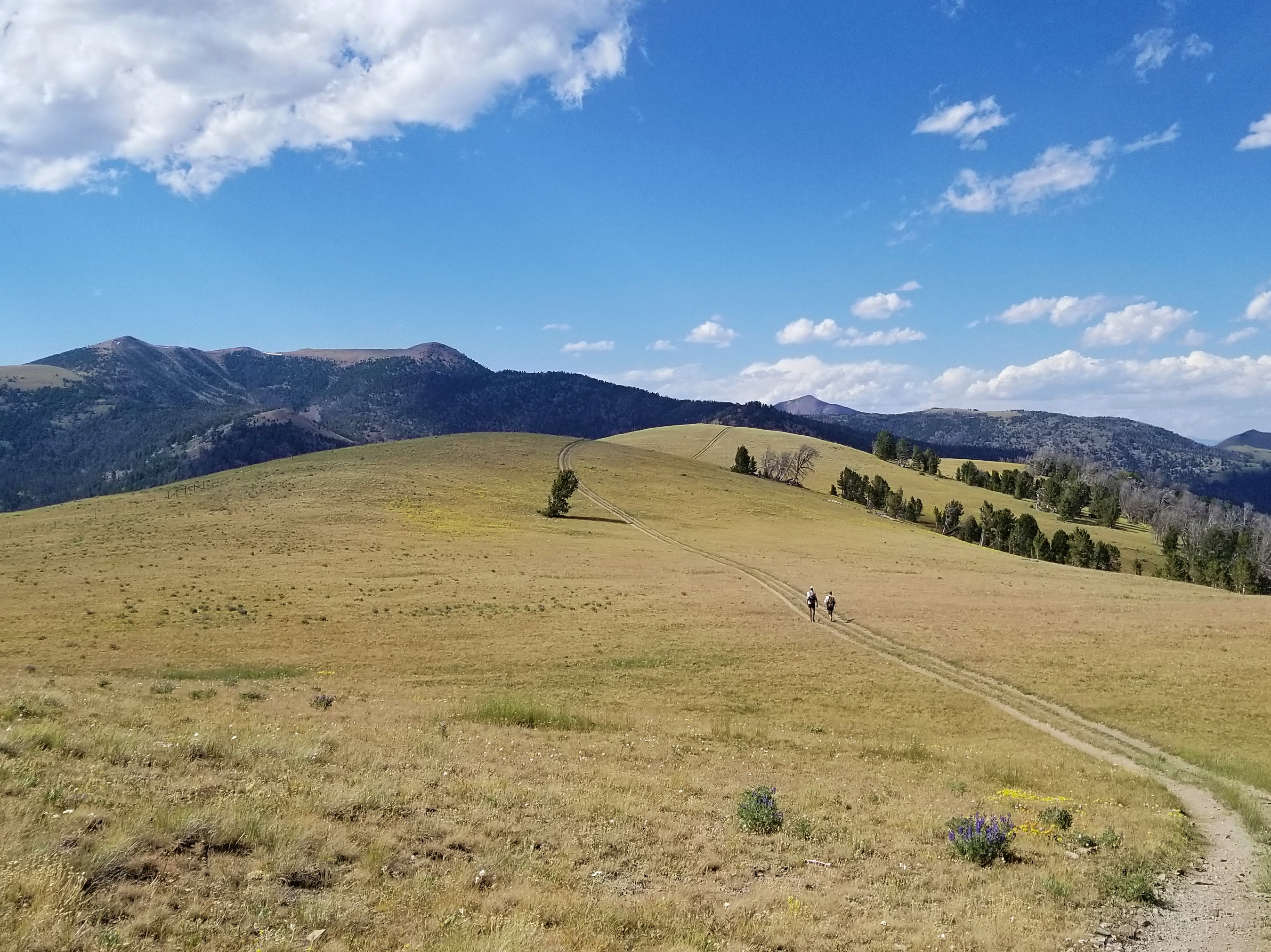 7 Days. 221 Miles. Hiking the ID / MT Ridge on the CDT. – Infinite ...