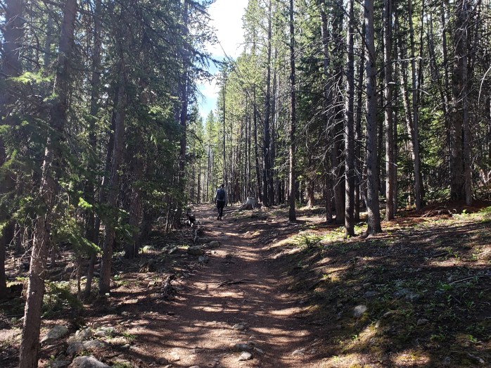 Summer of Summits: Mount Massive & Mount Elbert – Infinite Geography